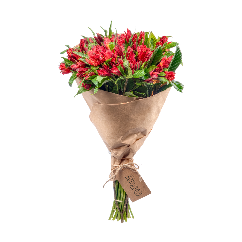 Ramo Estilo Casual De Astromelias Rojas | Flores Para Tu Casa | Flores ...